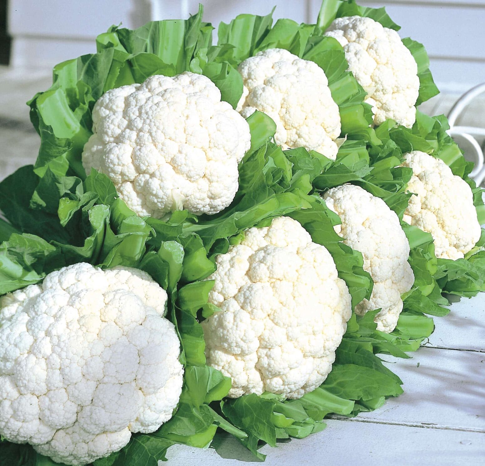 Snow Crown Cauliflower (Not Treated) | Seedway