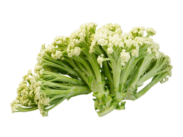 Fioretto Cauliflower (Not Treated) | Seedway