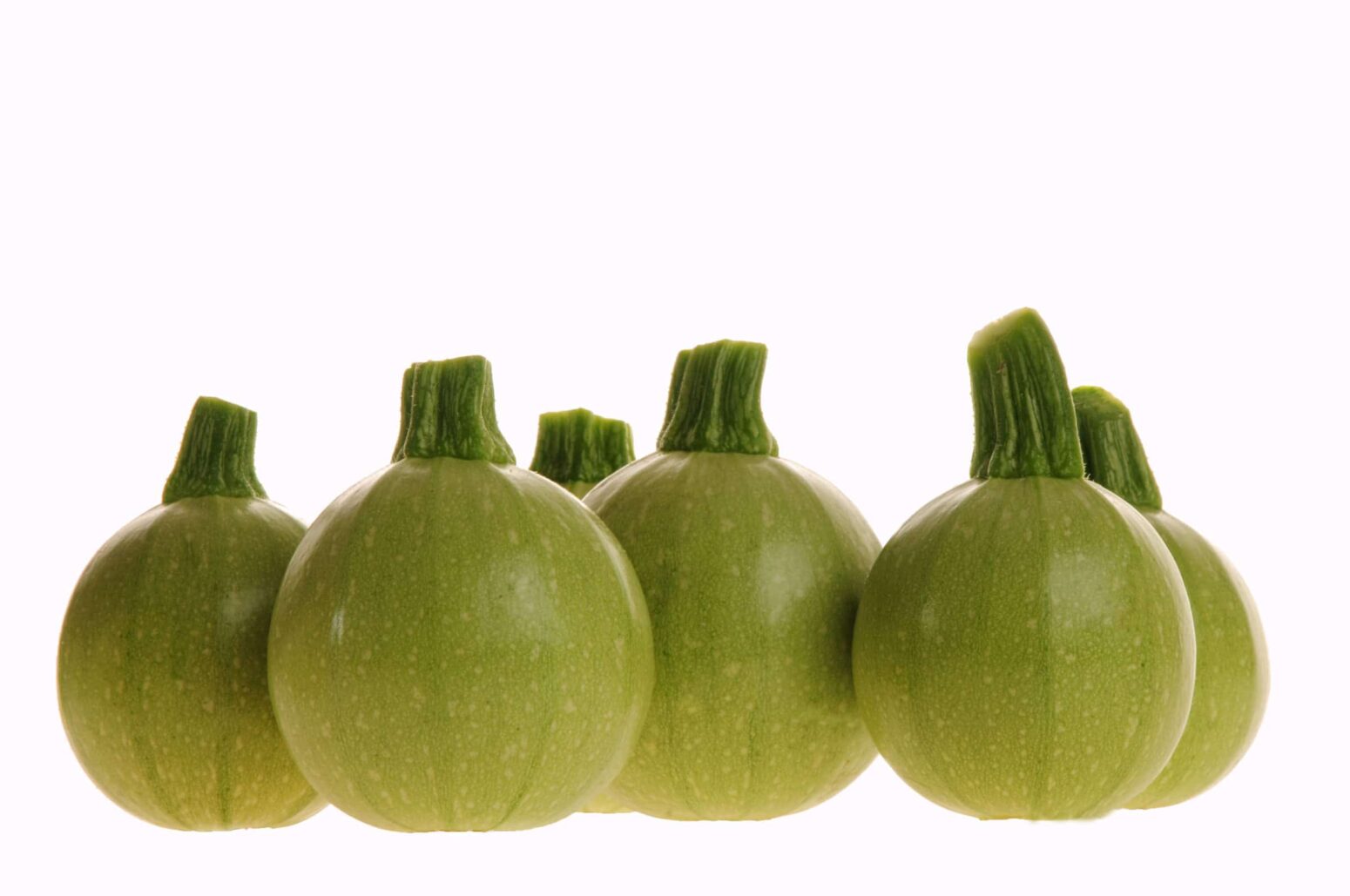 Cue Ball Squash (Treated Seed) | Seedway