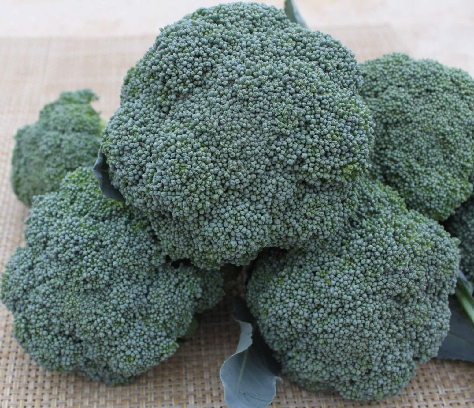 Imperial Broccoli (Treated Seed) | Seedway
