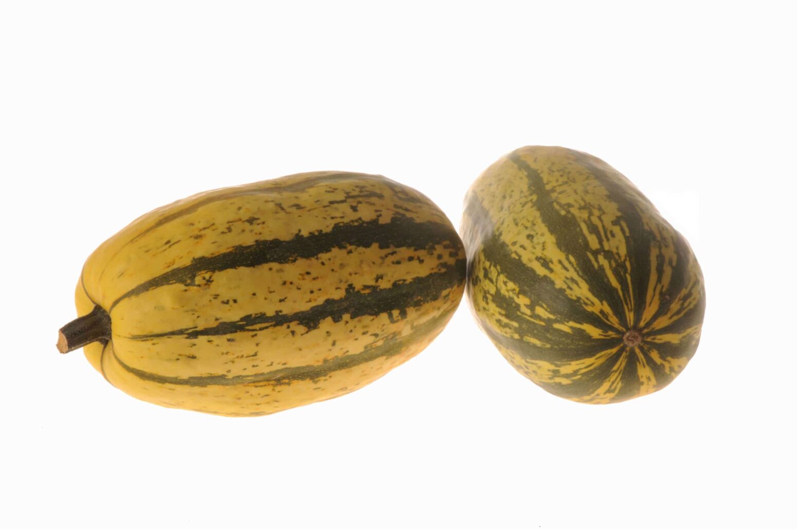 Stripetti Squash (Treated Seed) | Seedway