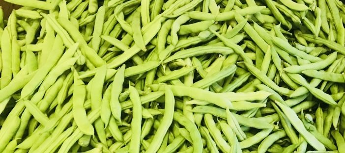 Volunteer Half Runner Bean (Treated Seed) | Seedway